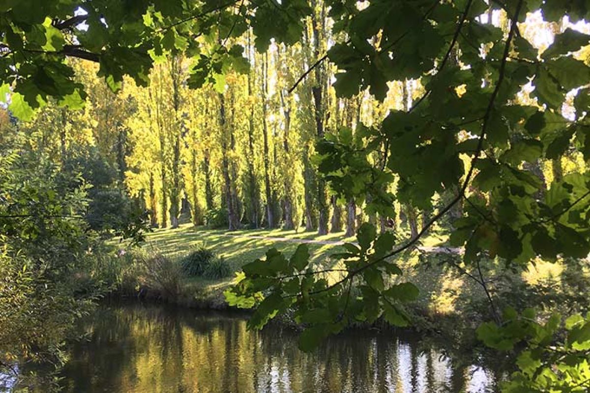 The Best Walking Tracks for Families Around Bright - Alpine Valley Getaways