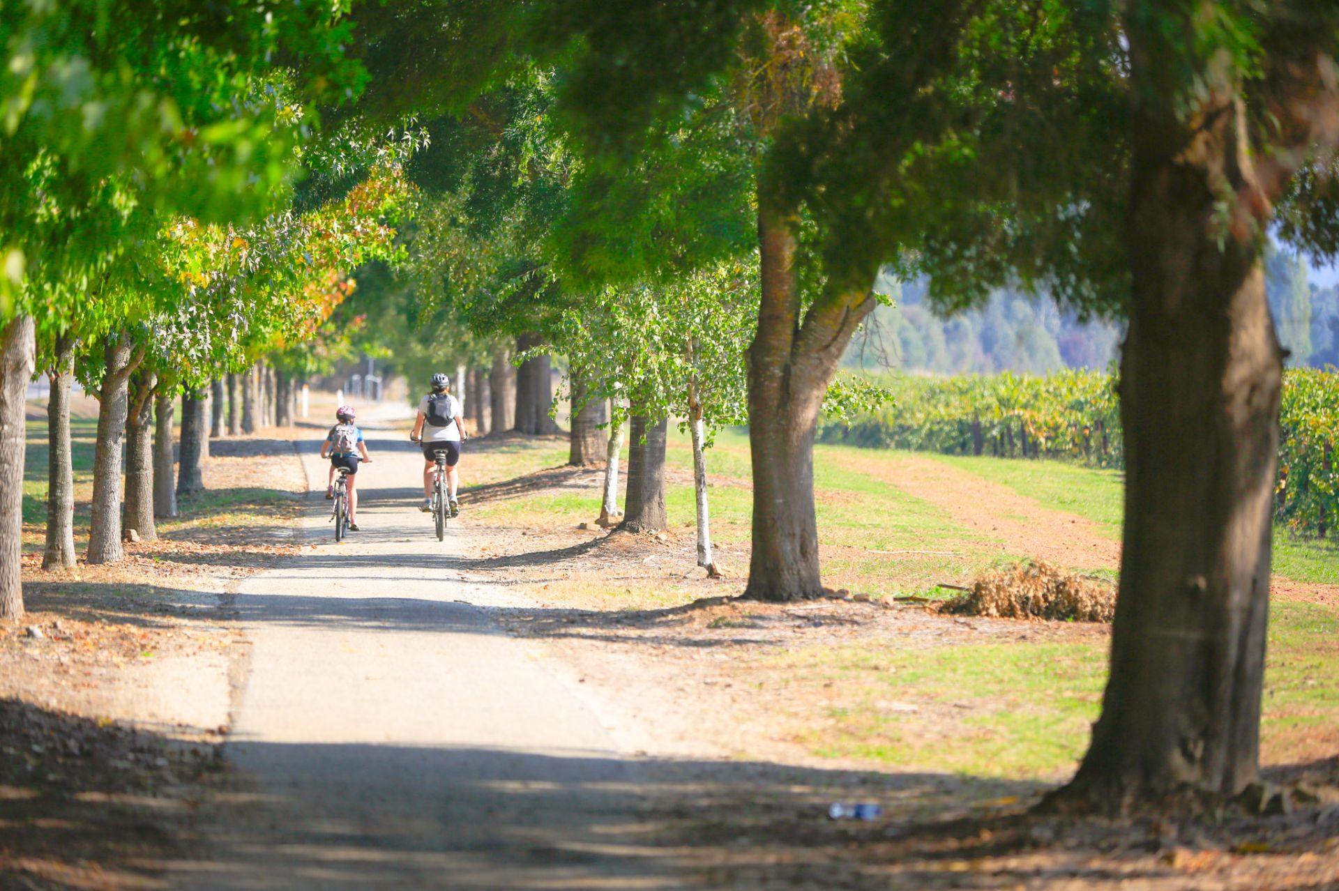 DISCOVER THE TOP 5 CYCLE FRIENDLY HOMES IN BRIGHT - Alpine Valley Getaways